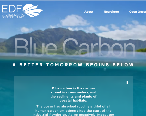 Blue carbon | Environmental Defense Fund