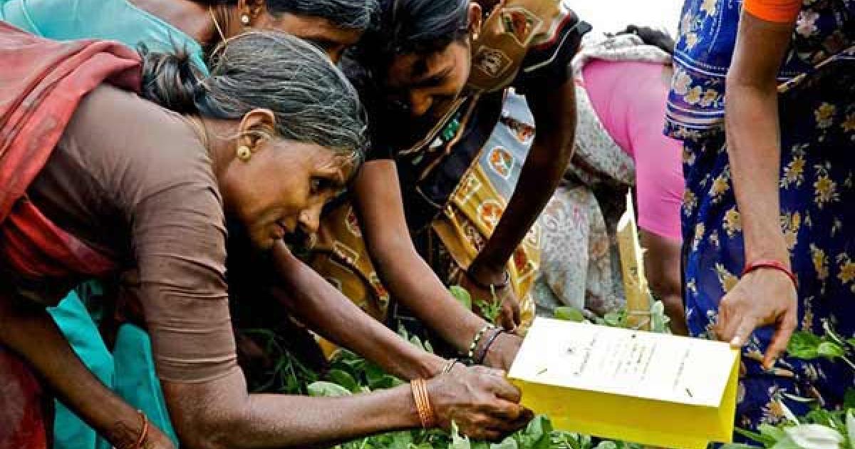 India | Environmental Defense Fund