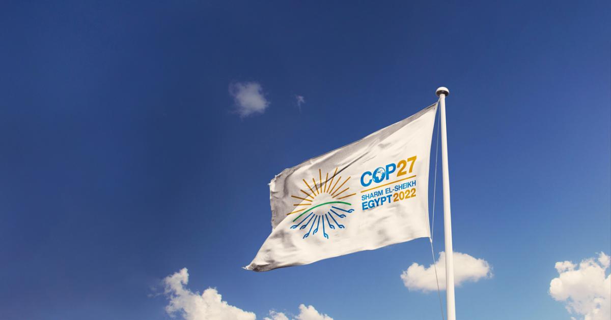 It's the biggest climate conference of the year. But what does COP ...