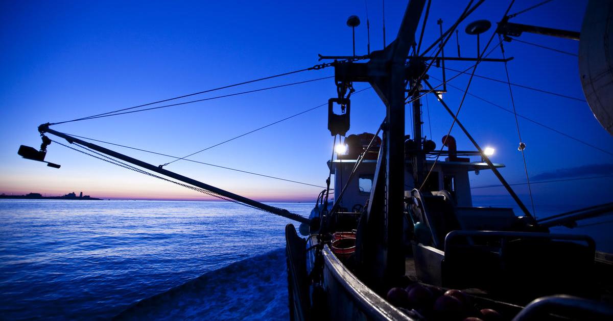 What are climate-resilient fisheries and how do we create them? | EDF