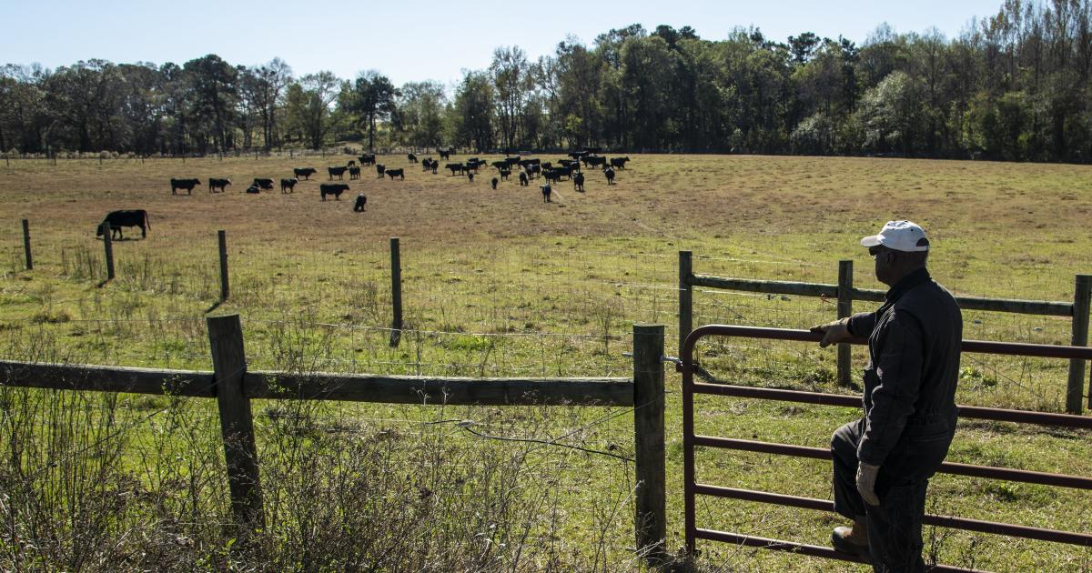 A climate-smart farm bill | Environmental Defense Fund