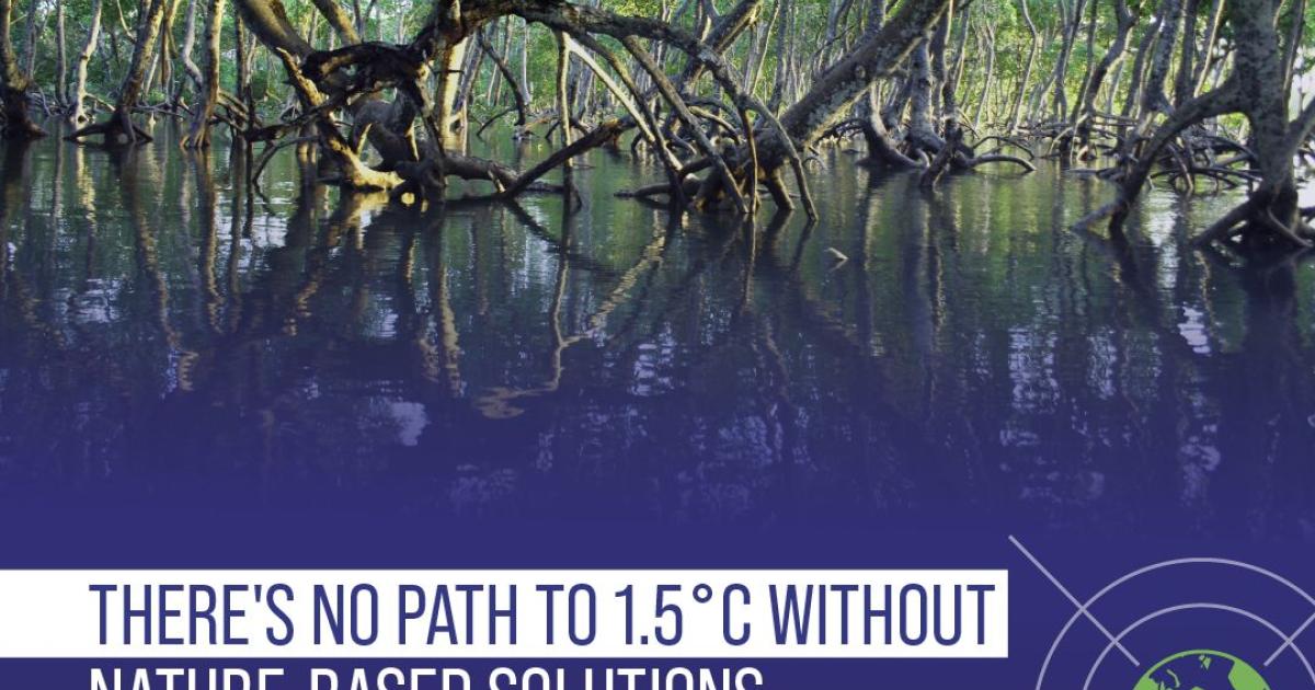 Core Carbon Principles provide guidance around global thresholds for a ...