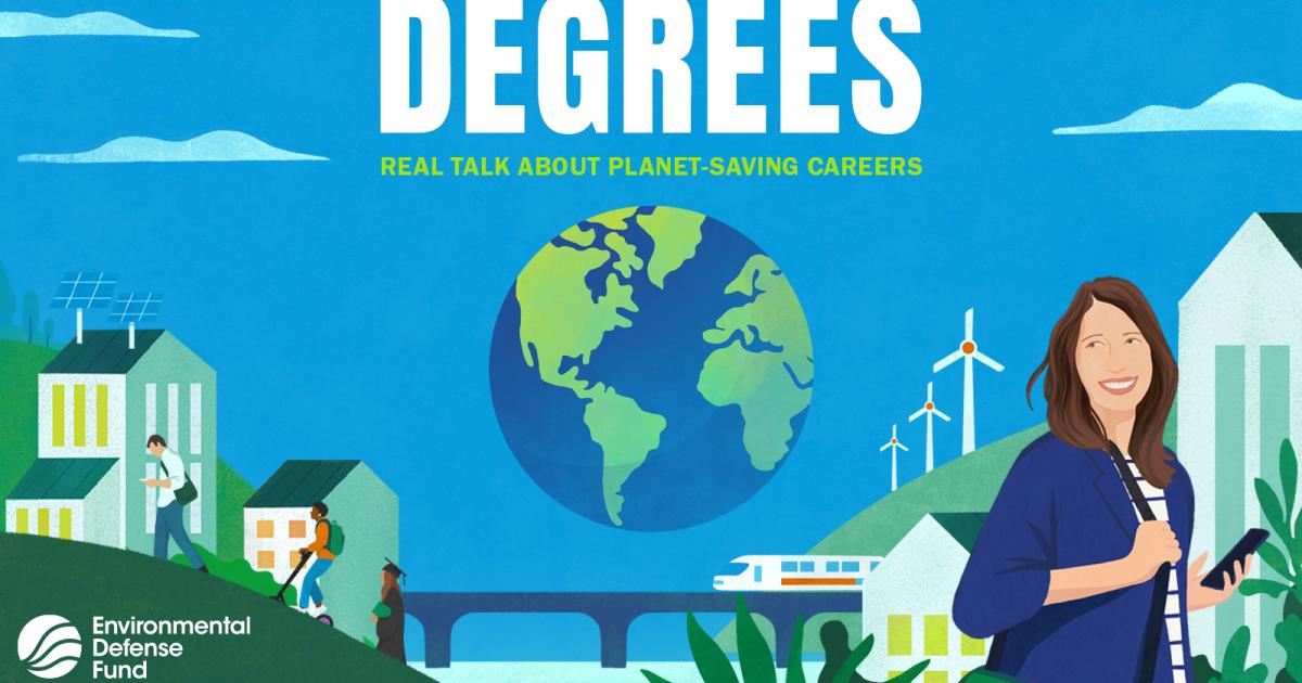 How a punk-rocking paralegal harnessed employee power to green ...