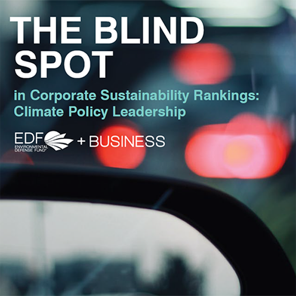 Climate Policy Advocacy Is a Major Blind Spot in Corporate ...